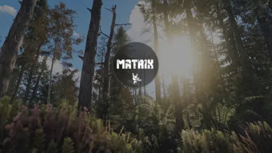 Купить Rust [Matrix] | Приватные читы для разных игр CS:2, RUST, DAYZ и ...